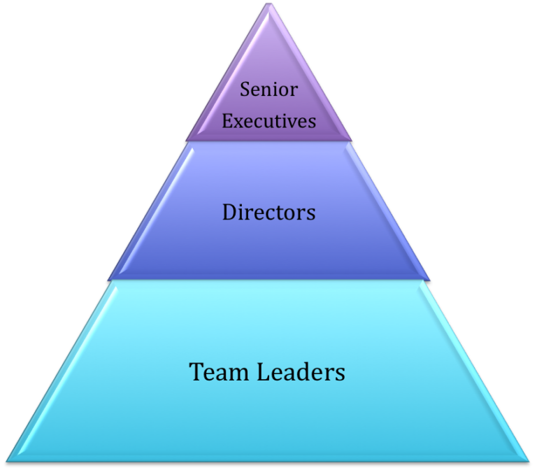 Leadership Excellence & Alignment Program (LEAP): The Innovative ...